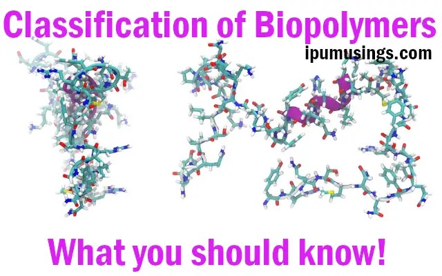 Classification of Biopolymers - What you should know! (#biochemistry)(# ...