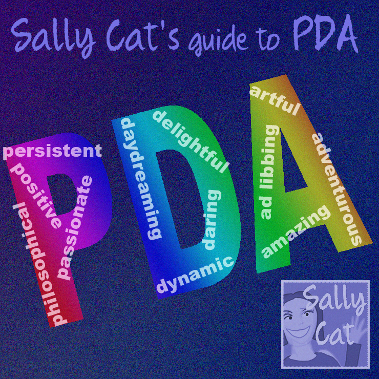 Sally Cat PDA: December 2019