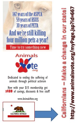 TLC - Tiny Loving Canines: Animals DO vote....