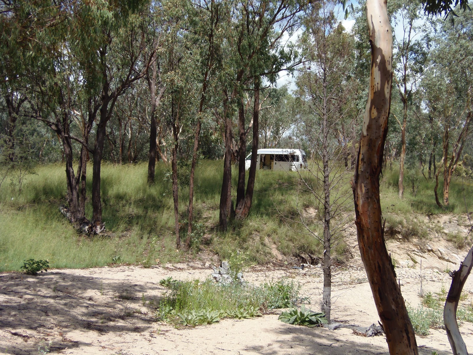 Solo Steve On The Road: COPETON DAM NORTHERN FORESHORE
