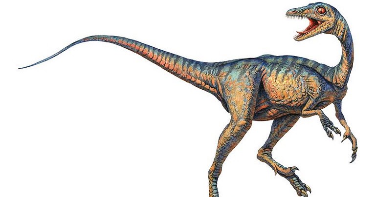 Troodon | The Life of Animals