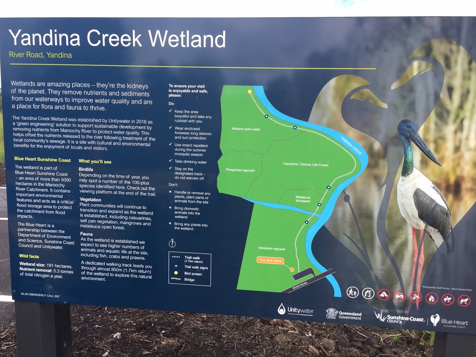 sunshinecoastbirds: Yandina Creek Wetland Open to the Public