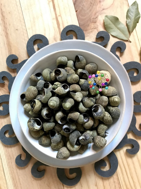 Cómo cocer y congelar bígaros o caracolillos de mar