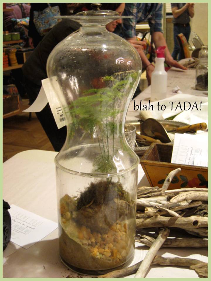 blah to TADA!: A Terrarium How-To