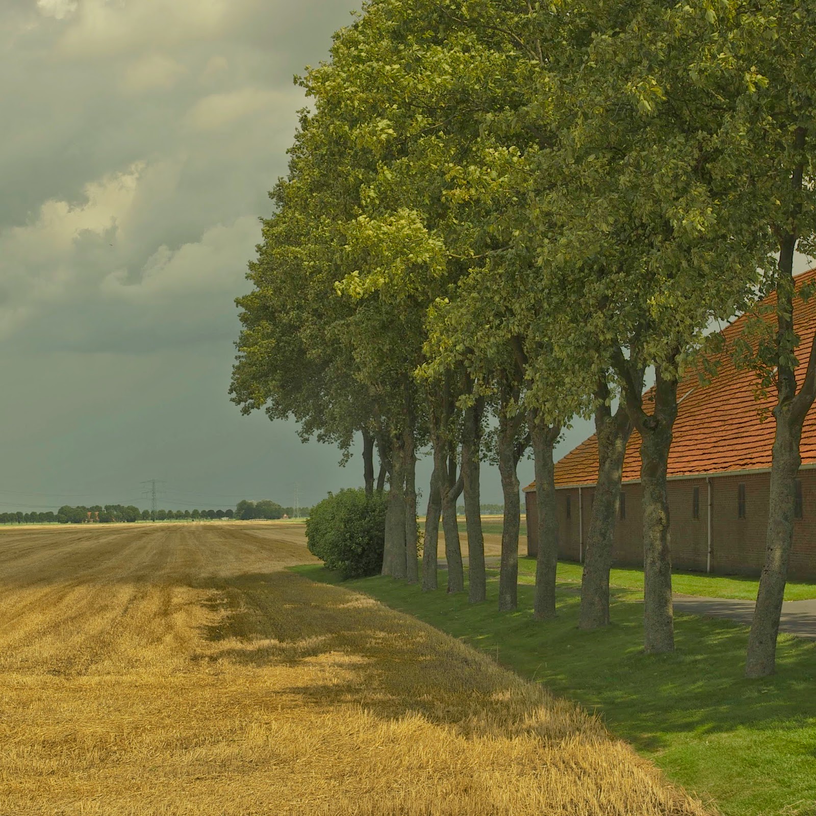 Natuurfoto Westerwolde: Strijklicht.