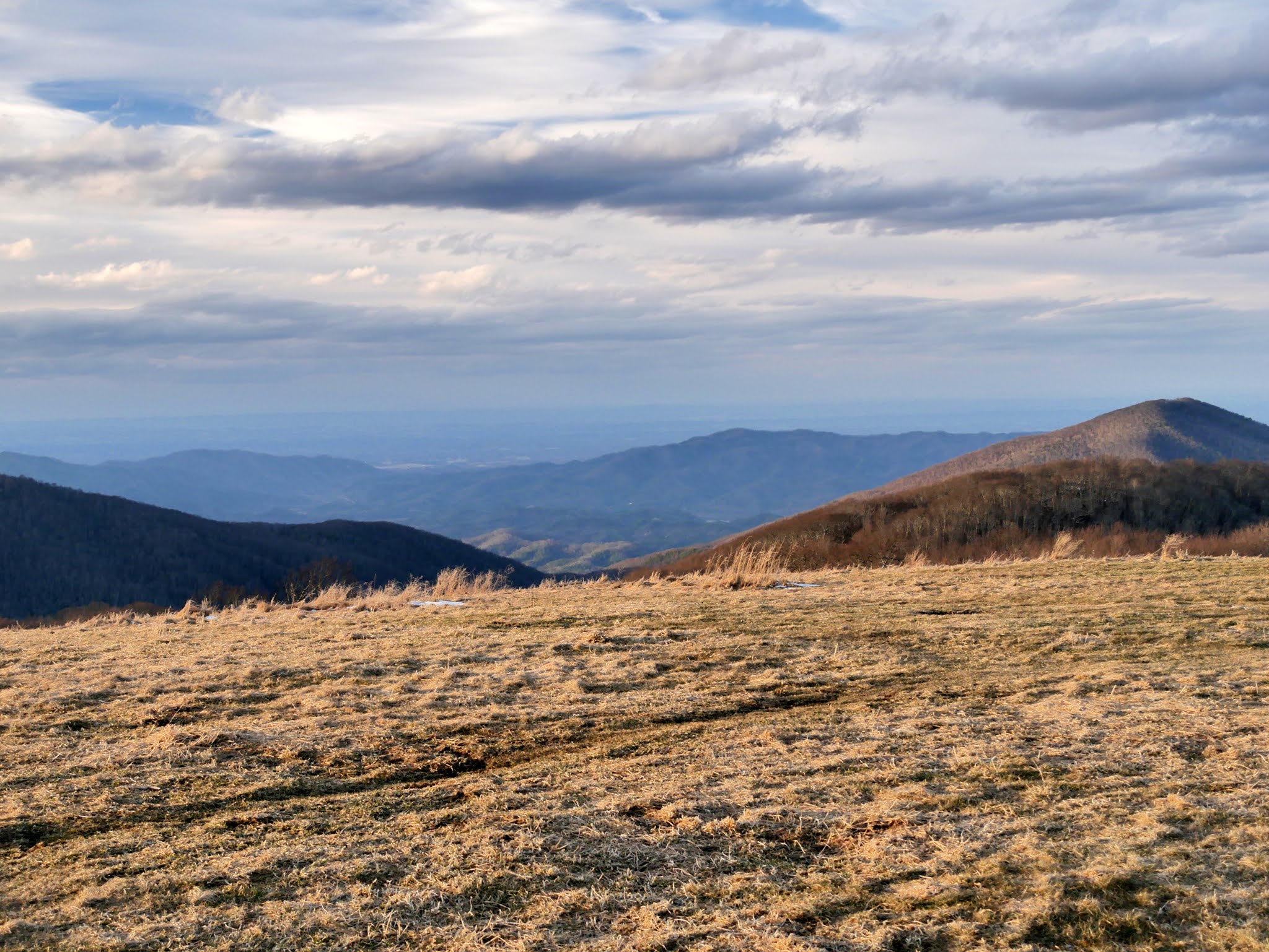 American Travel Journal: Max Patch Road to Max Patch Summit ...
