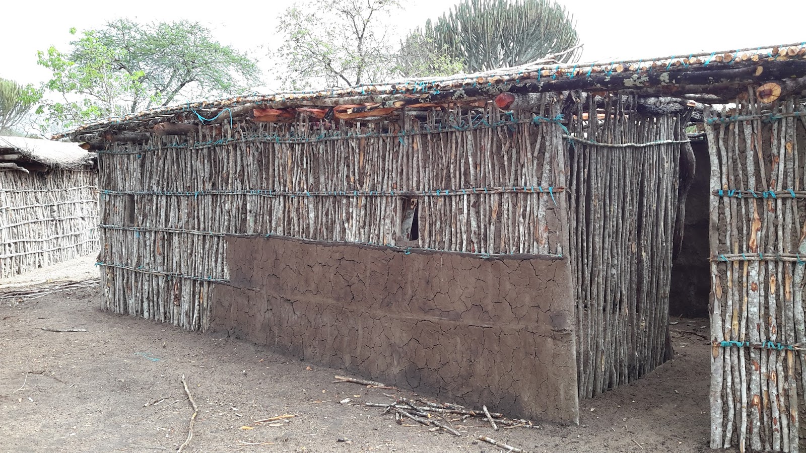 Maasai People Houses