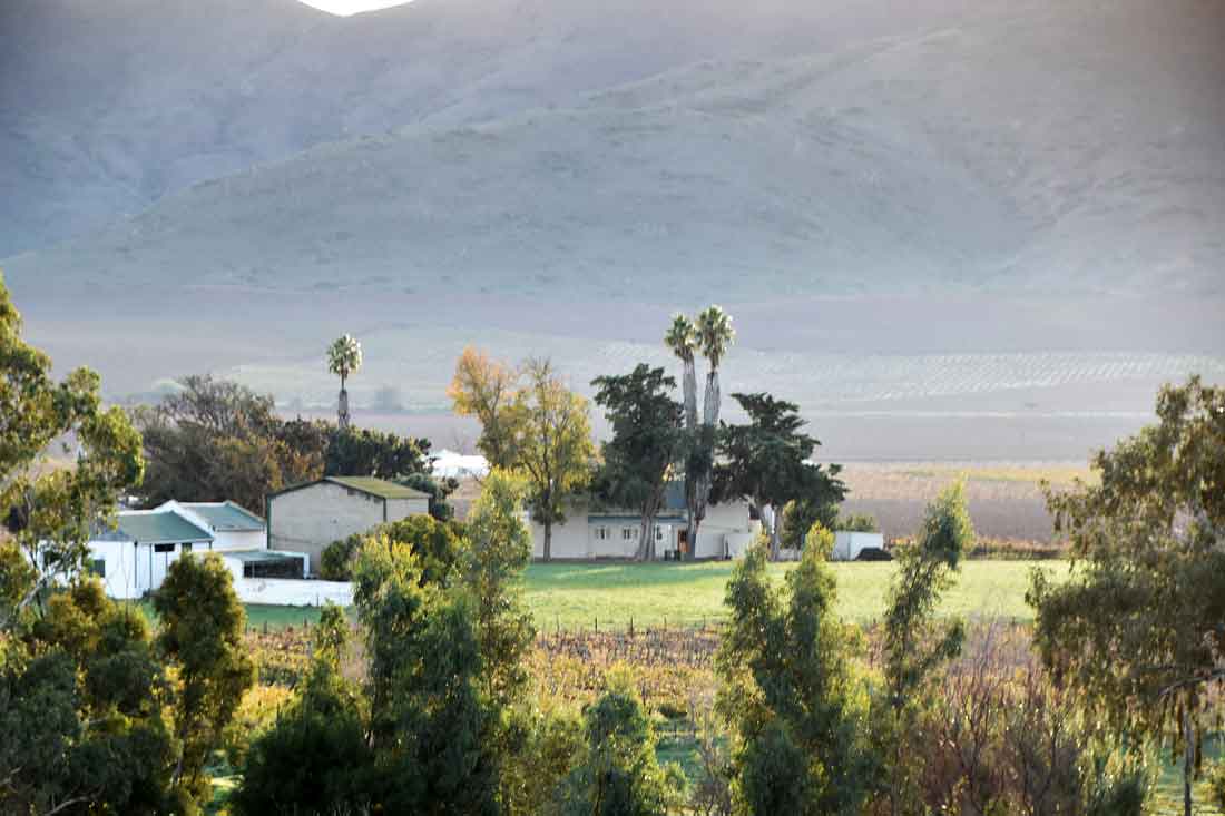 .: Robertson Wine Valley's Wacky Wine Weekend 10. Arendsig