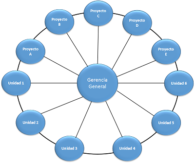 Formas Organizacionales: Formas Estructurales Básicas de la Organización
