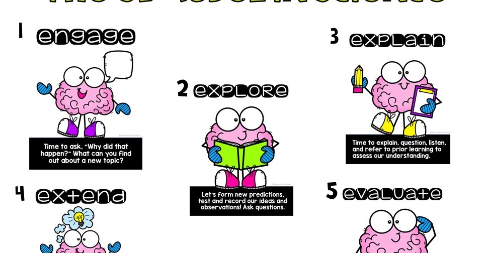 The 5 E Model In Your Science Classroom - The Science School Yard