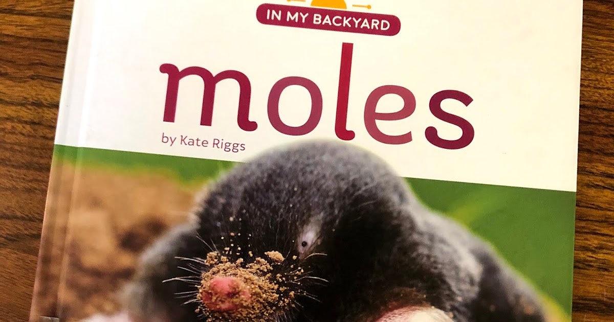 Ms. Brown's Books: In My Backyard: Moles