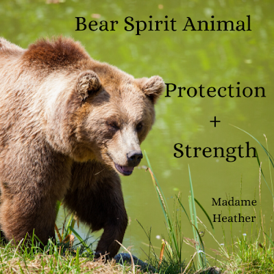 Spirit Animals that Symbolize Protection