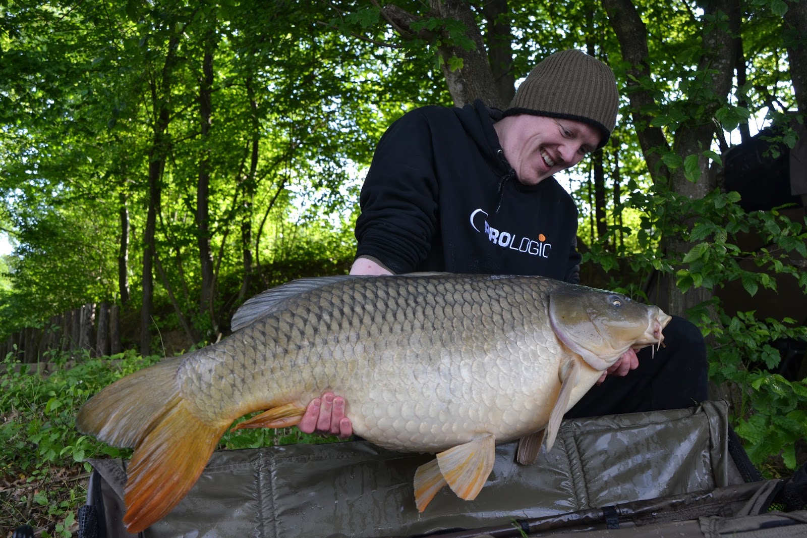 Carp Of The Thousand Lakes