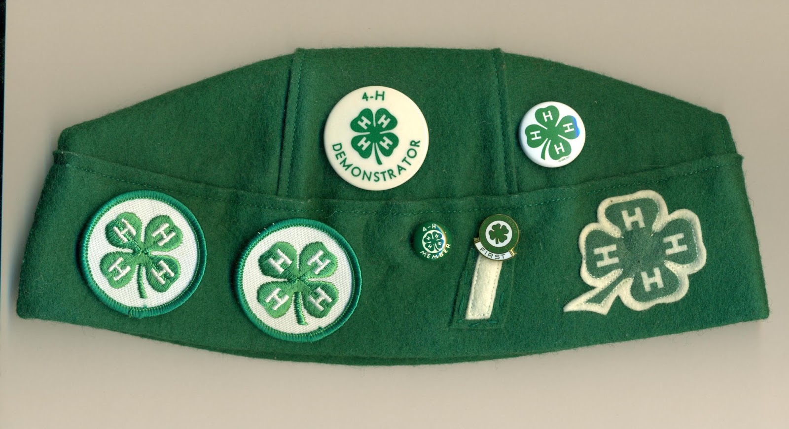 gold country girls: 4-H Attire