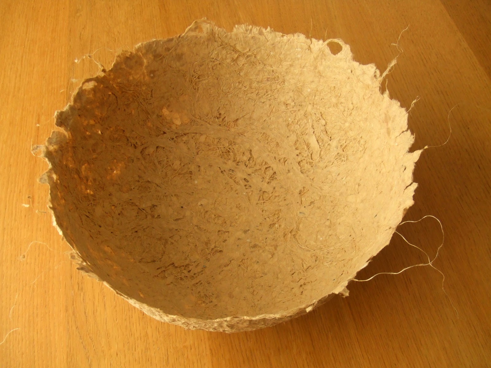 Mid-Life Craftis: Week 19 - Paper Pulp