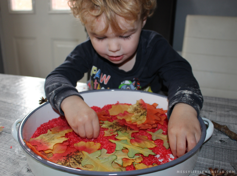 Fall Leaf sensory Bin - Messy Little Monster