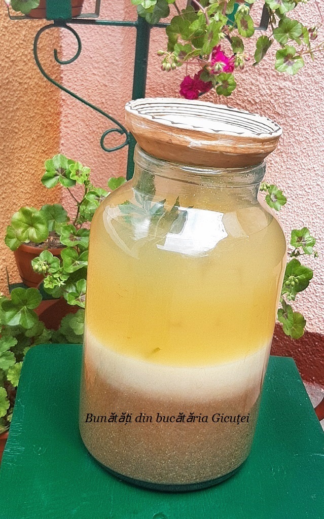 Bors de casa – reteta traditionala - Bunătăți din bucătăria Gicuței