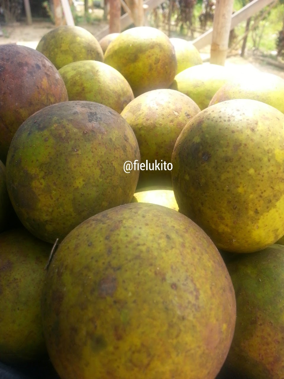 I'm Just Ordinary Me: Buah unik Kalimantan