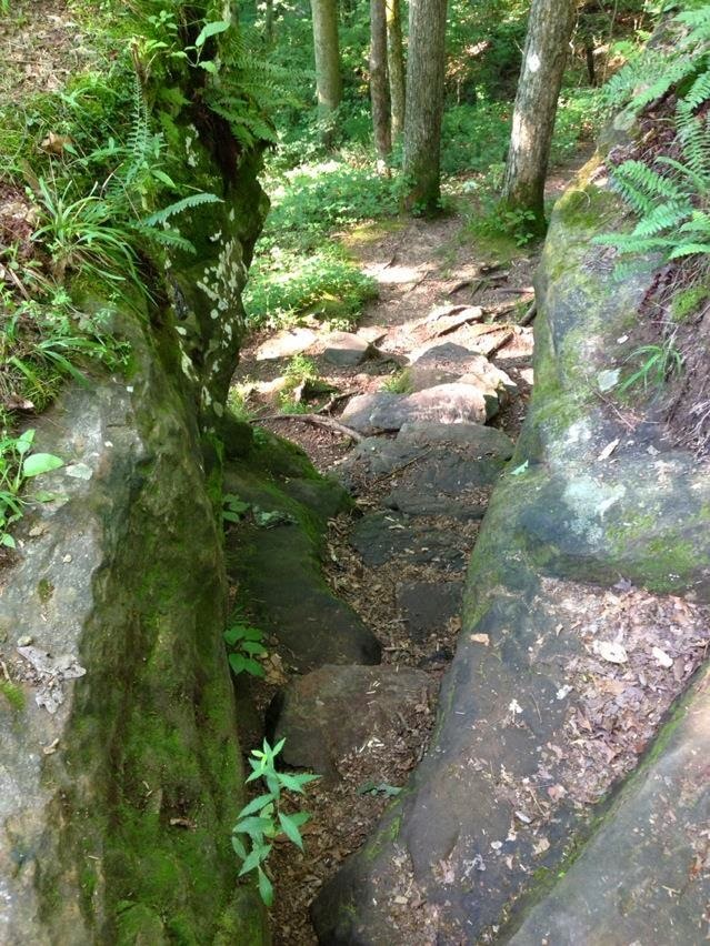 Jake & Susan's Wild Indiana: Hemlock Cliffs in Hoosier National Forest