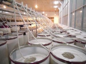Wool processing info ~ Amass Farming Tips & Info