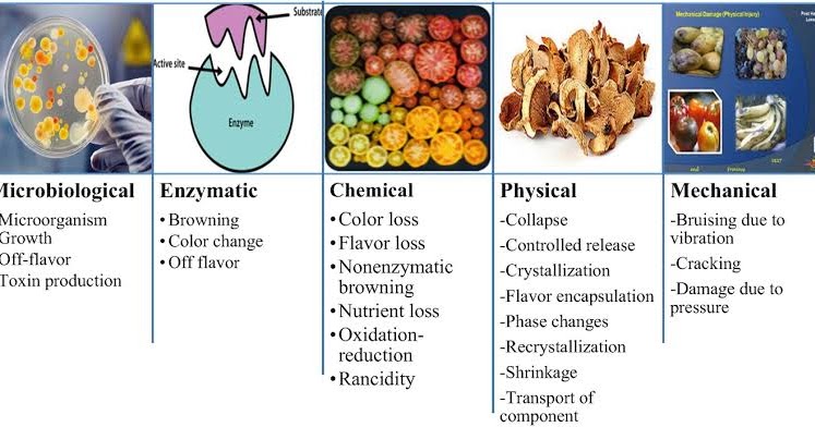 Food preservation meaning | Food preservation techniques