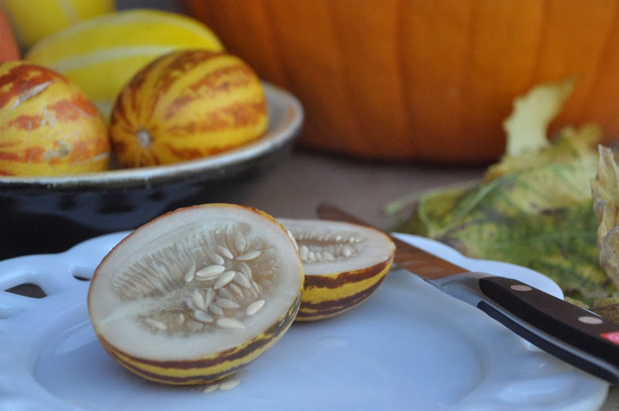 Stealth Cooking: Fall at the Farmer's Market