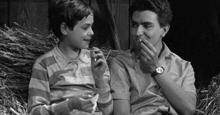 UM FILME POR DIA: AS AMIZADES PARTICULARES