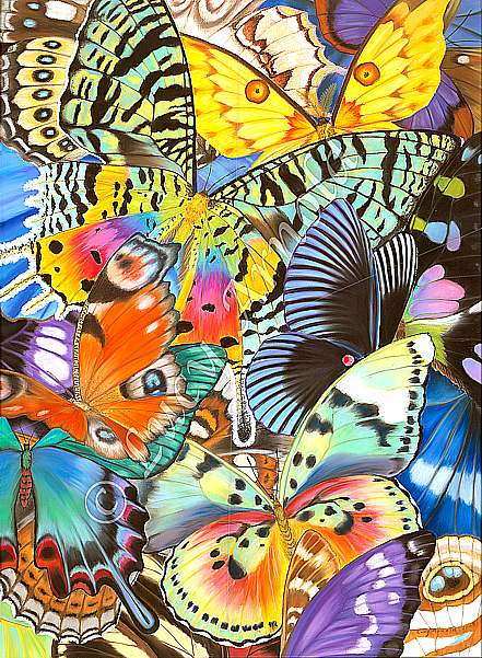 Art Now and Then: Butterfly Art