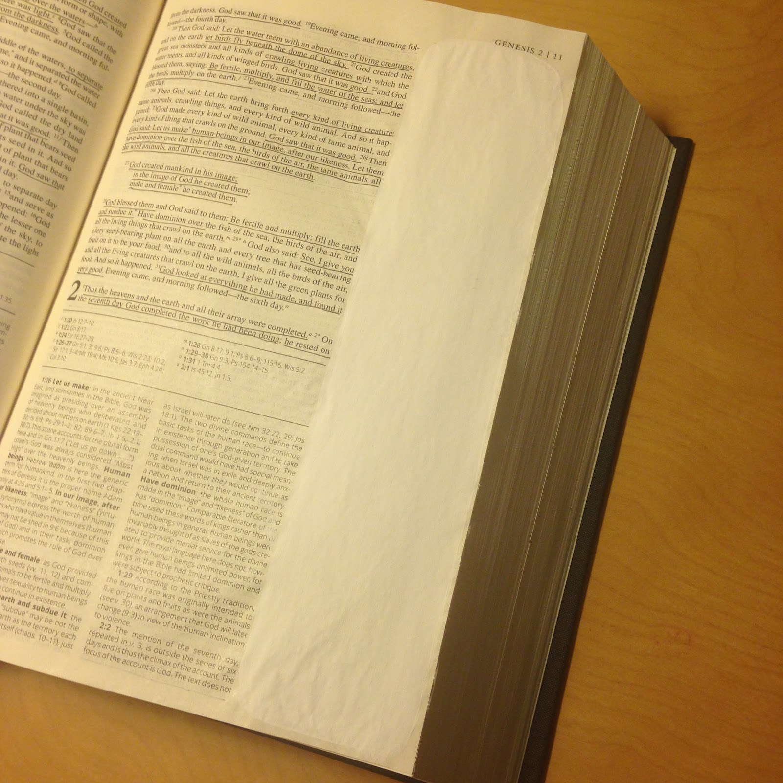 Look to Him and be Radiant: Studying Scripture: Color and Creativity