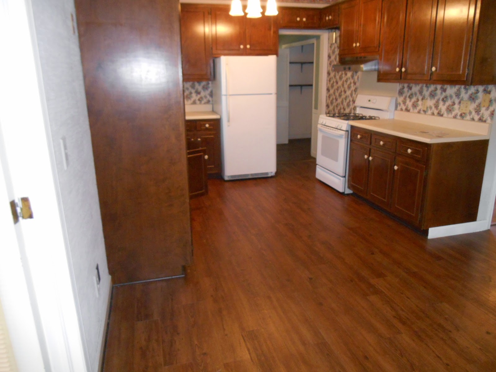 Pygmy Puffs and Heffalumps: Introducing... the Redneck Victorian!