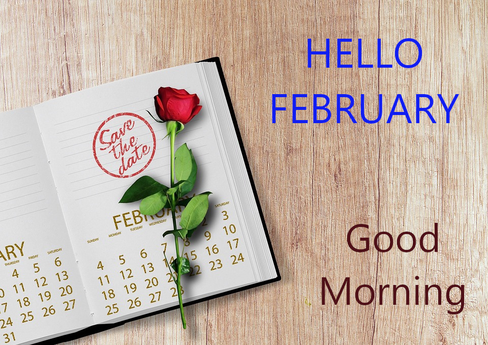 Top 10 Good Morning Hello February Images greating Pictures,Photos for ...