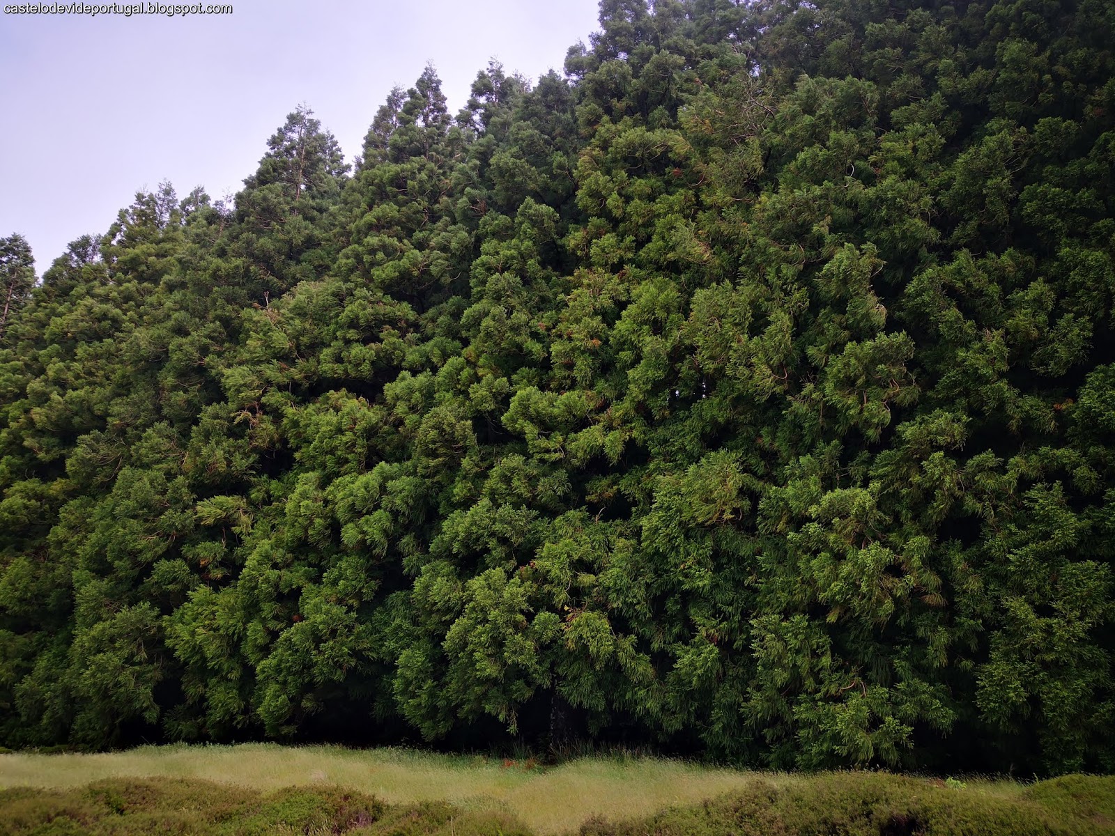 Photos of Castelo de Vide, Portugal: 8 Photos: PORTUGAL / Lagoa do ...