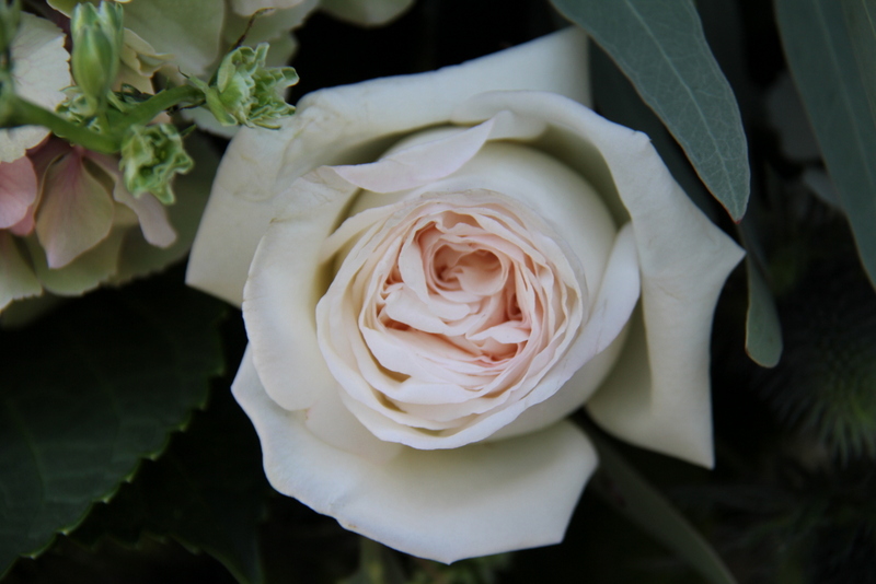 Summer Fete Vibe for Jamie & Kirstie's Silverdale Church & Grange Hotel ...