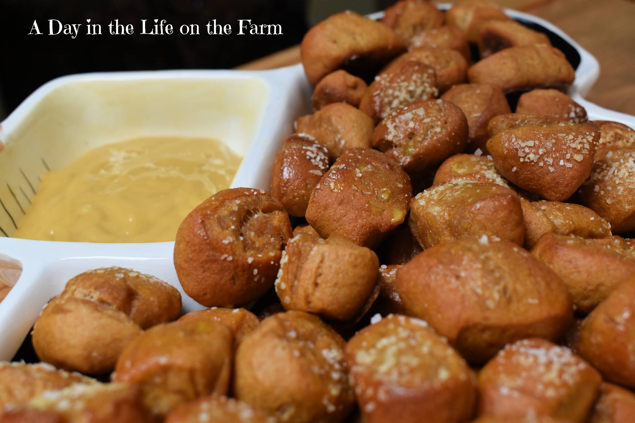 A Day in the Life on the Farm: Beer Pretzel Nuggets #SundayFunday
