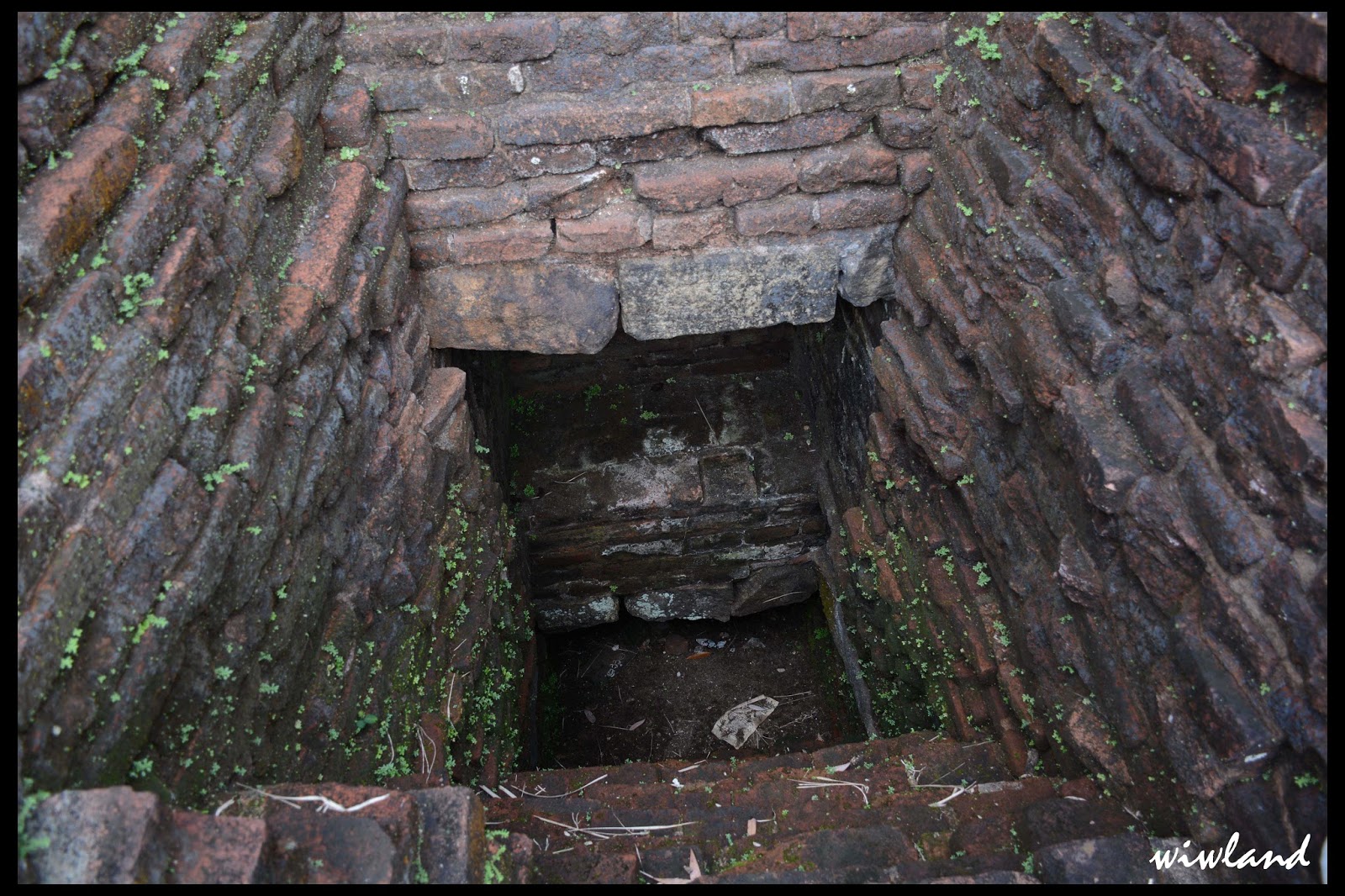 Dedigama Kotawehera - Wanderer In Wonderland