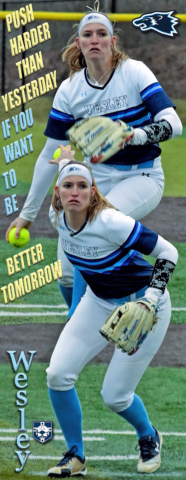 Wesley Wolverines Fastpitch Softball: PUSH HARDER