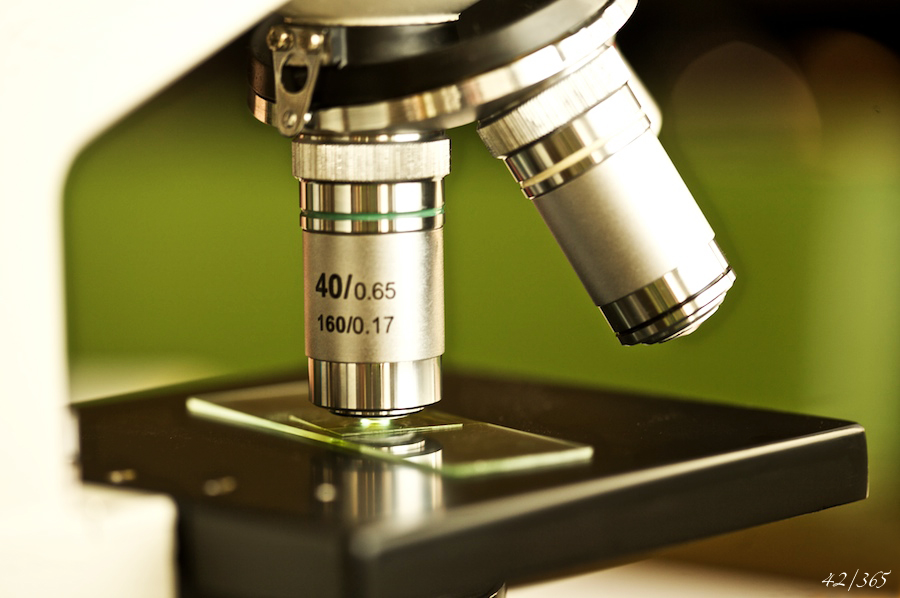 Moments that Matter: Macro-Micro Science