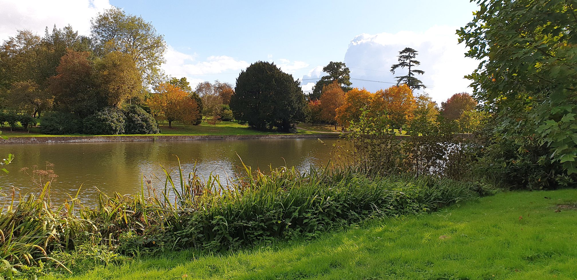 Ian's Myeloma Blog, and more...: 12/10/20 Marks Hall Estate