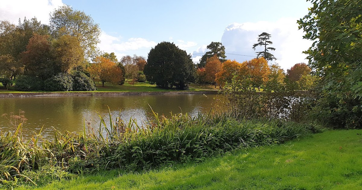 Ian's Myeloma Blog: 12/10/20 Marks Hall Estate