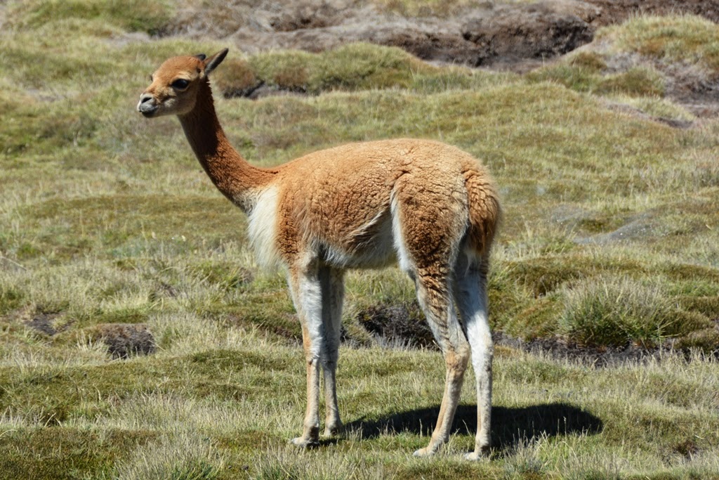 Travels - Ballroom Dancing - Amusement Parks: The wonder of nature at ...