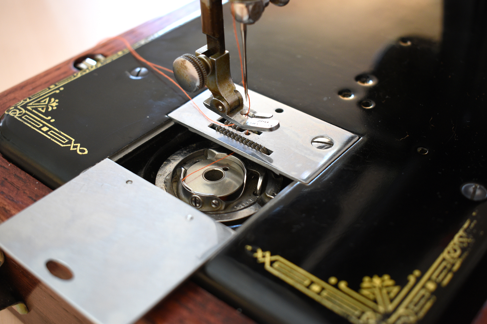 Meet My Singer 101-4