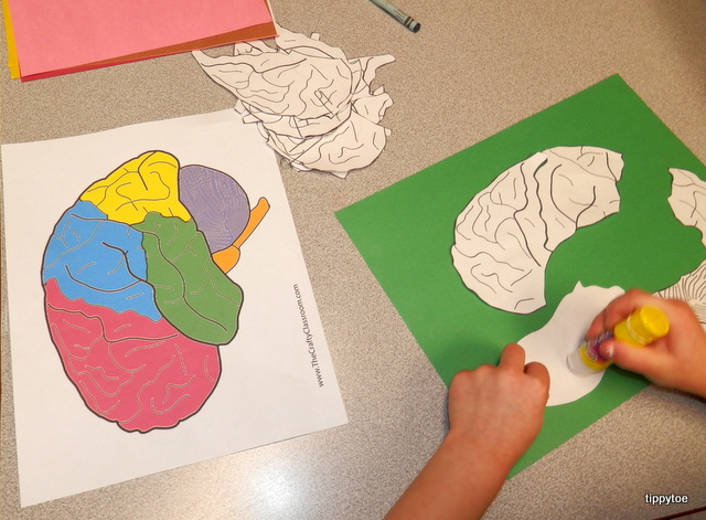 Tippytoe Crafts: Brain Puzzles