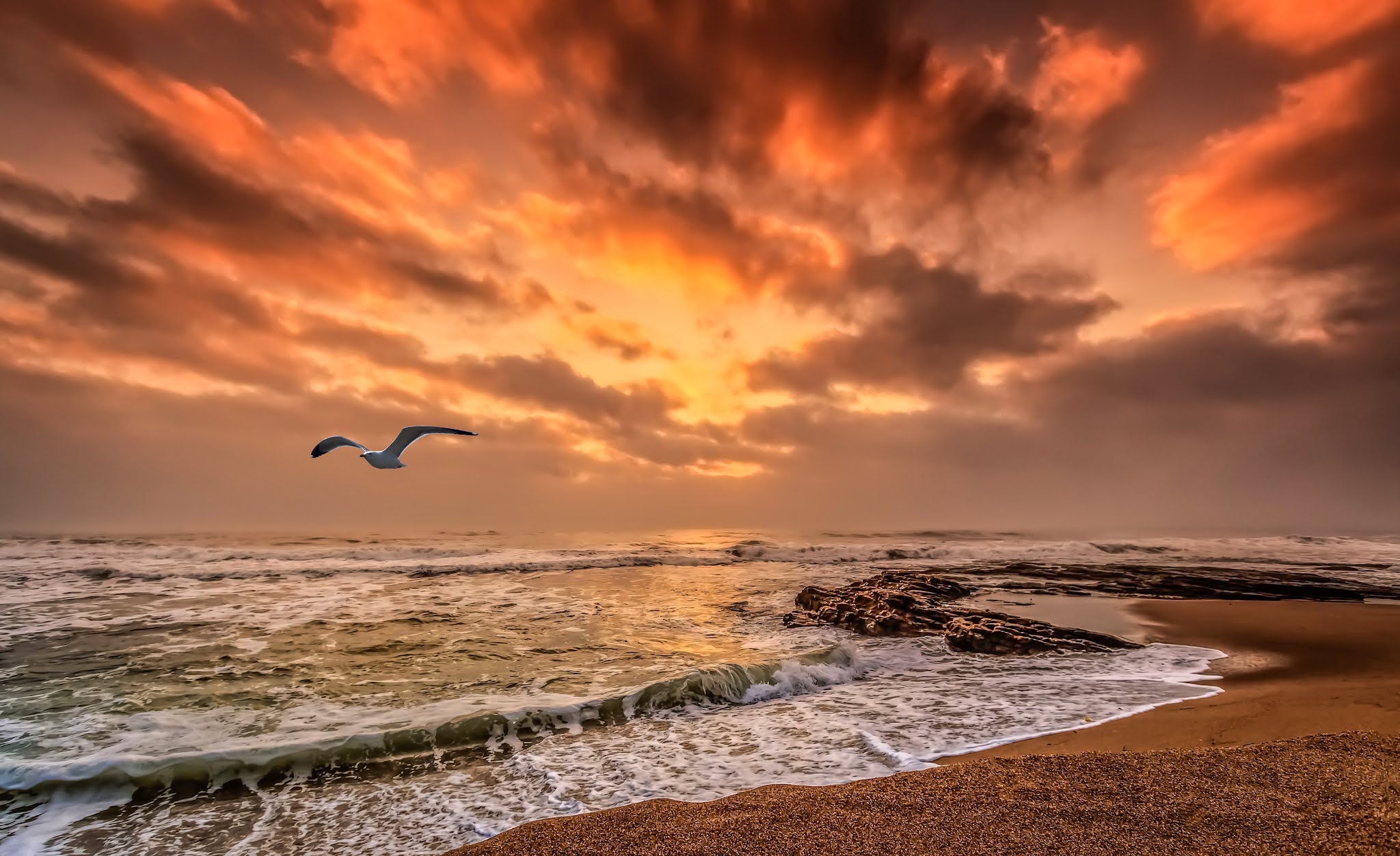 VIAJERO RODANTE: Punta Rasa, San Clemente del Tuyú Buenos Aires