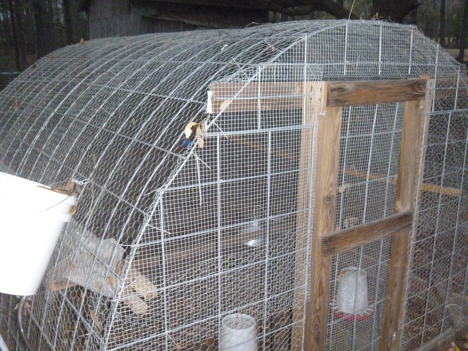 The Corray's Home: Poultry hoop houses