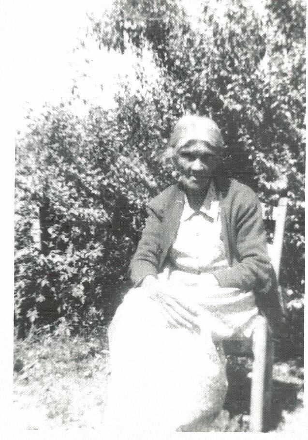 Galla Creek Ephemeris: He Paid for My Ticket!!