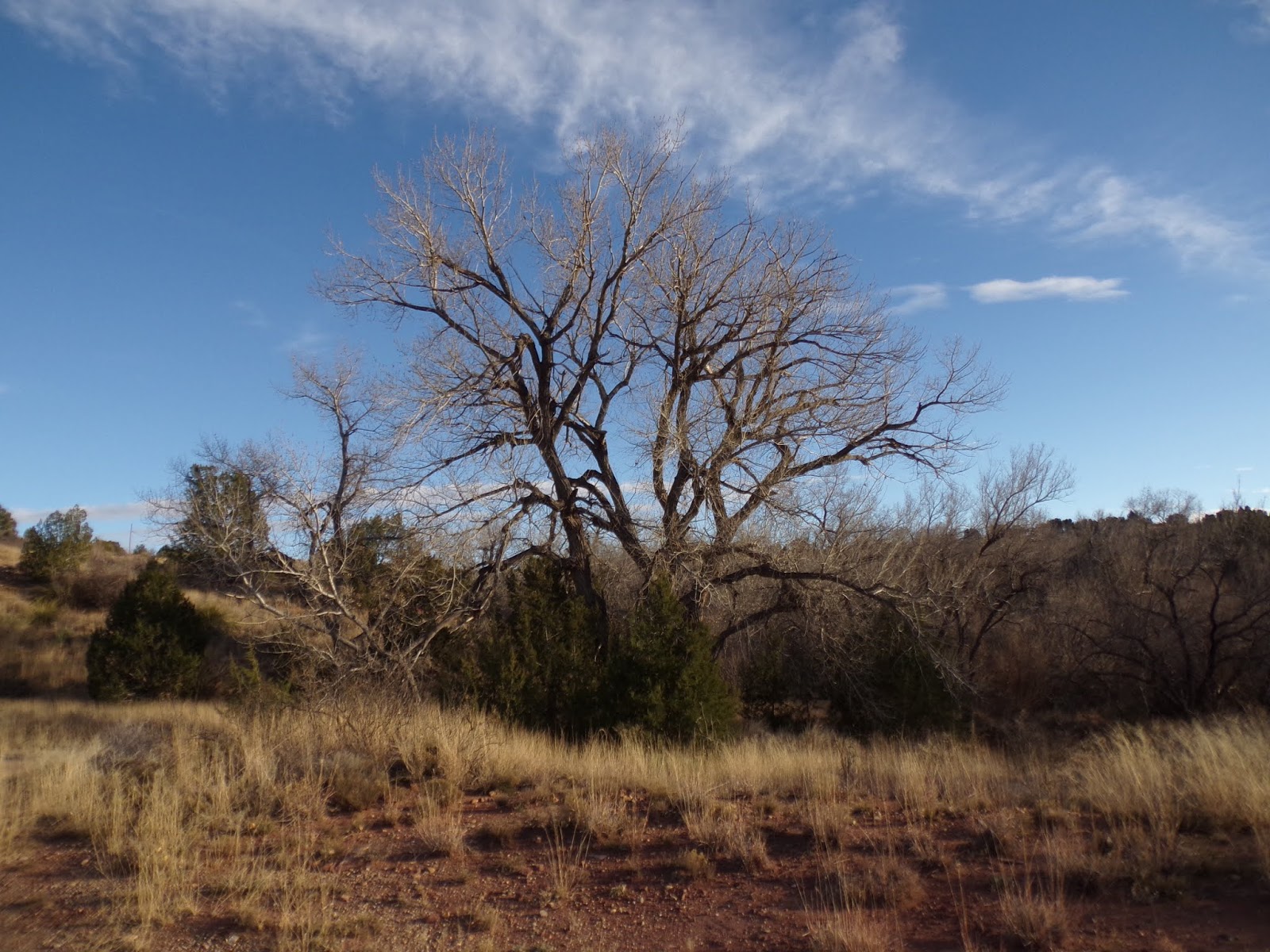Sumner Lake State Park, Fort Sumner, New Mexico