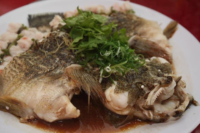 CARA TERNAK IKAN KETUTU: Pelbagai Khasiat Ketutu