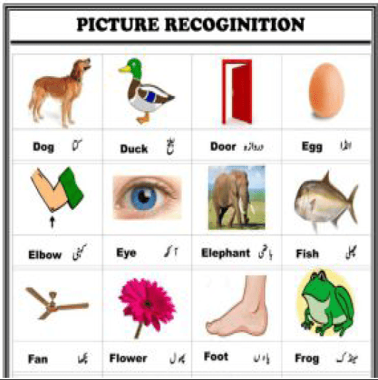 School Education Department: LND Booklet 2019