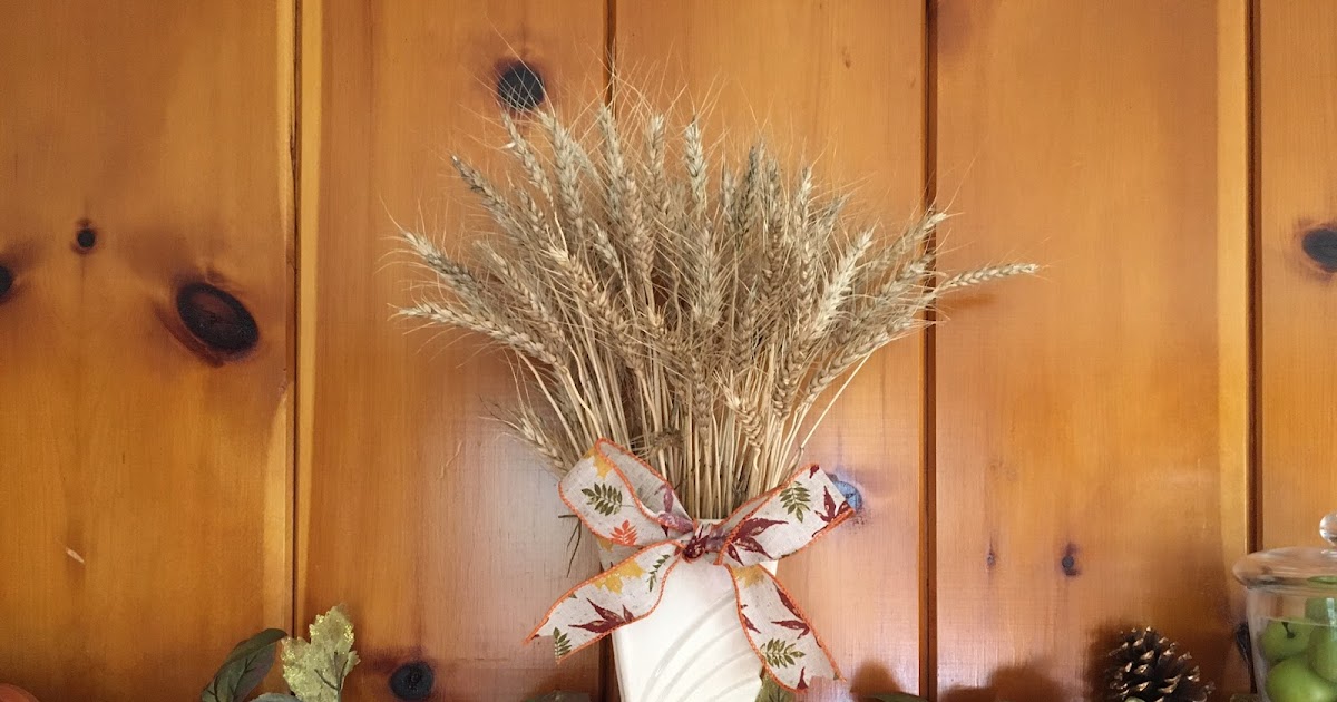 Bundles of Wheat for Decoration