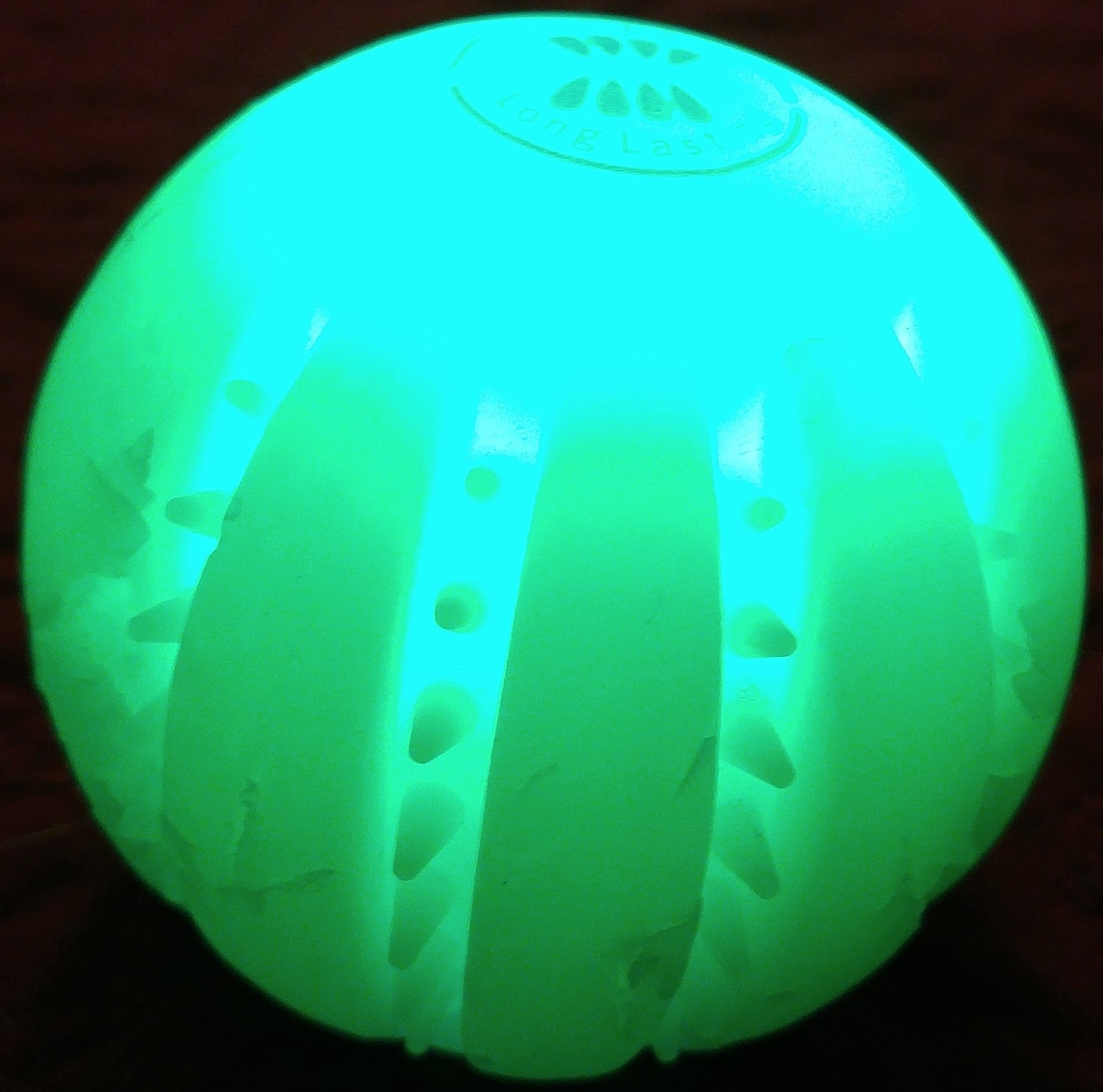 Heather Speaks Out: USB Flash Rechargeable Light Dog Ball